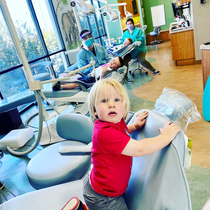 Dental Procedures | Santa Clarita, California | Kidz Dental Care SCV and PR
